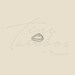 Cowrie Shell Temporary Tattoo set of 3 - Etsy