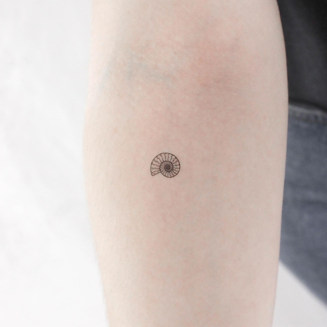 Ammonite Temporary Tattoo (set of 3) - Etsy
