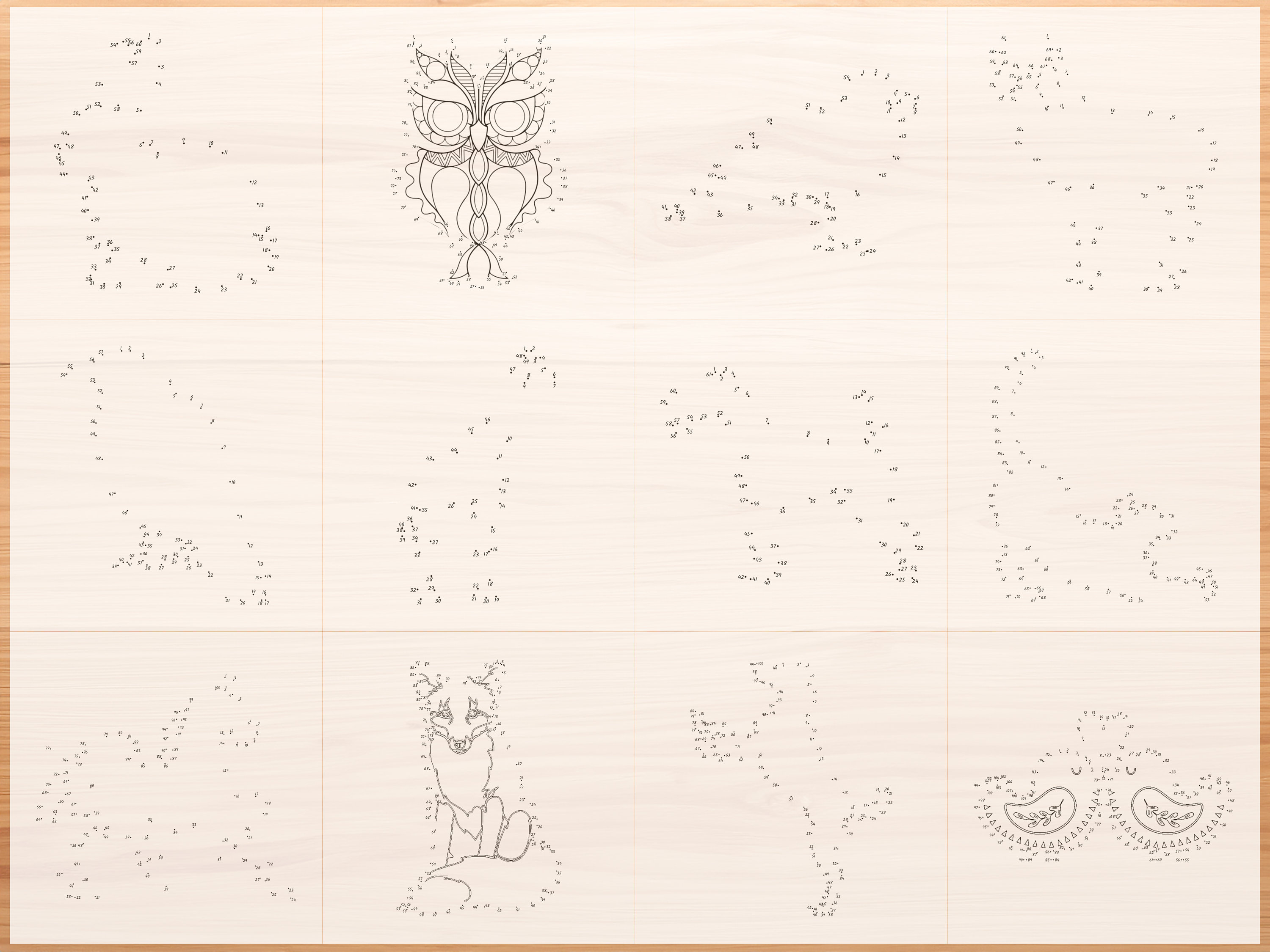 120 Dot-to-dot Animals: Easy to Medium Connect the Dots Entertainment ...