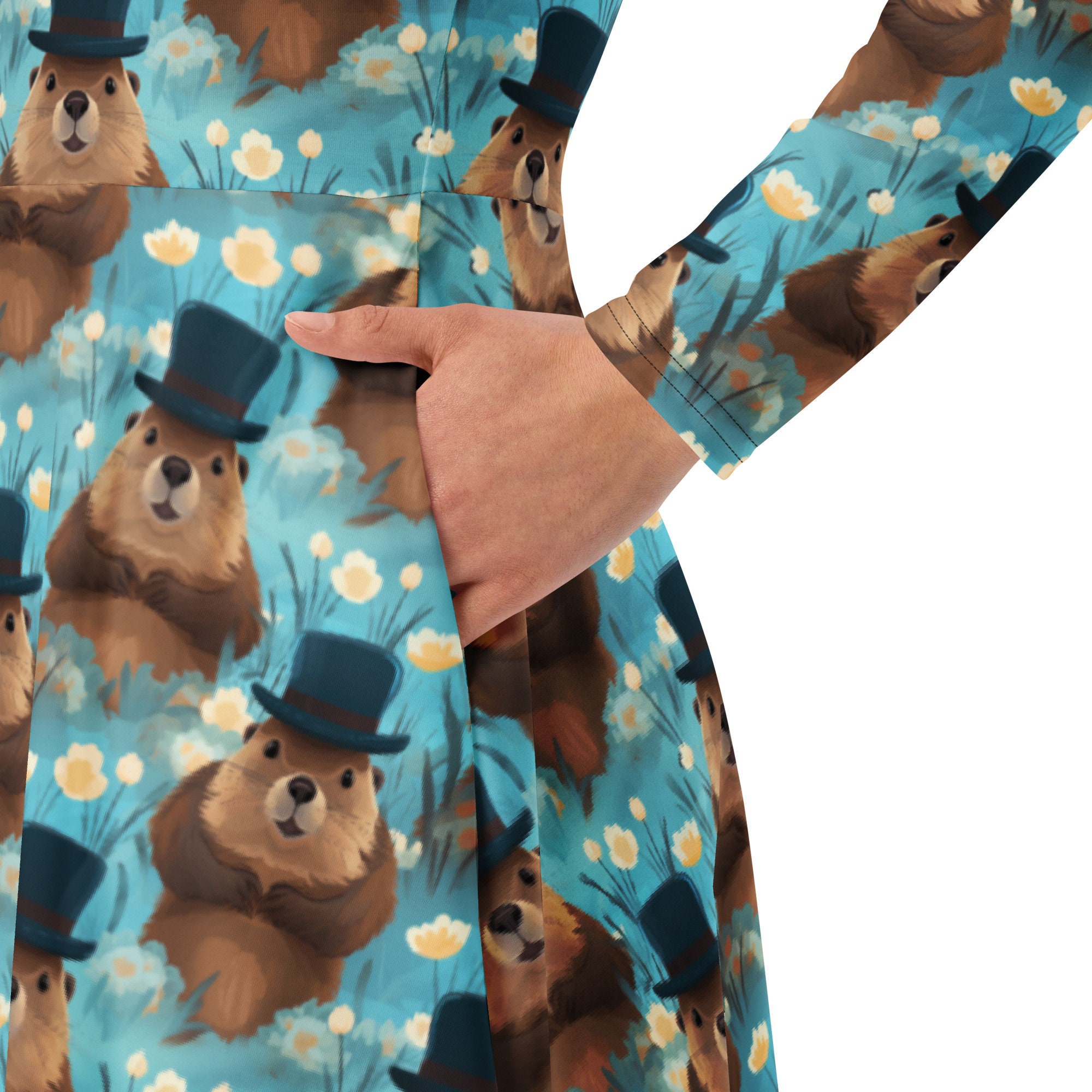 Groundhog Themed Dress, February Holidays, Punxsutawney Phil, American ...