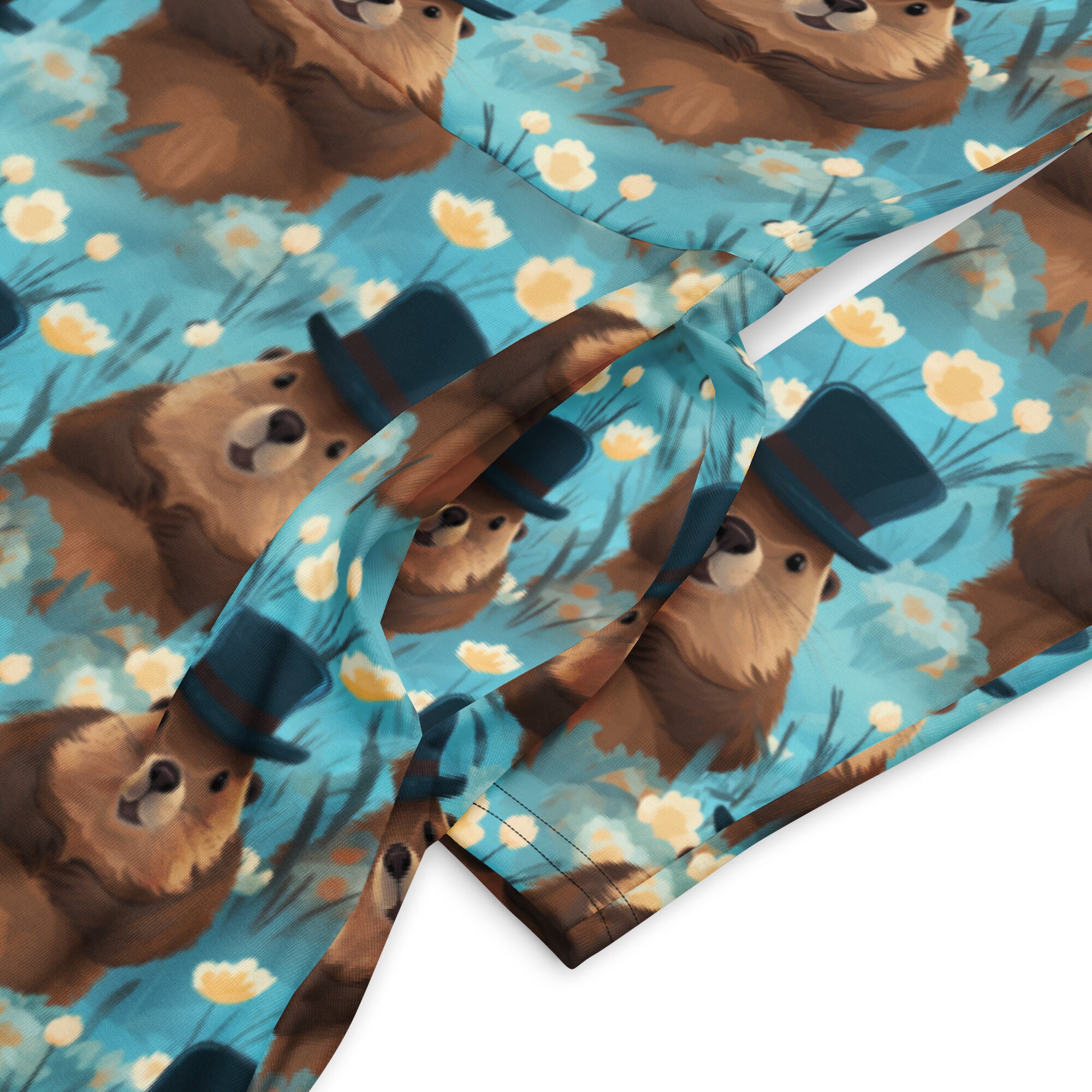 Groundhog Themed Dress, February Holidays, Punxsutawney Phil, American ...