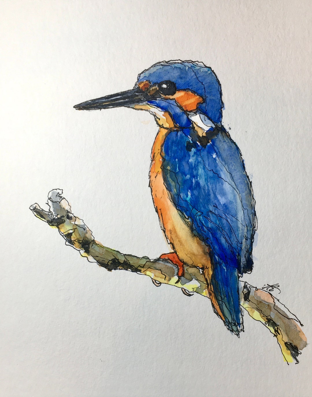 Kingfisher. Signed Original by Alexander Ehmann. - Etsy