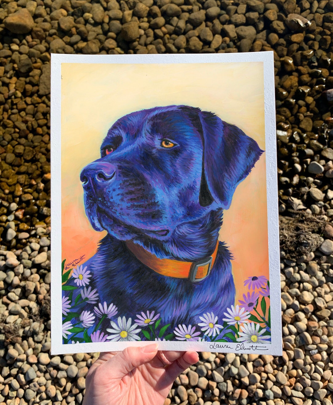 Black Lab, Labrador Retriever, Colorful Black Lab Art Print, Black Lab ...