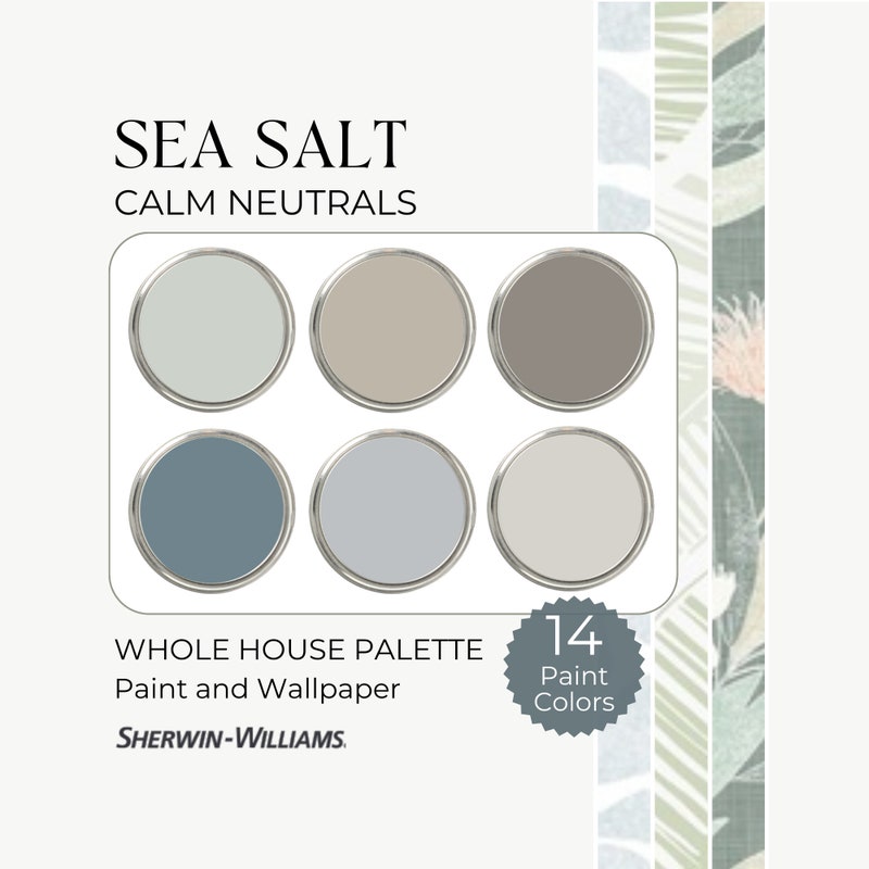 Coastal Calm Paint - Etsy