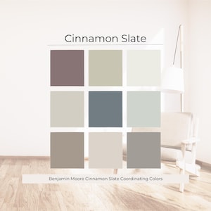 Benjamin Moore Cinnamon Slate Paint Palette, Color of the Year 2025, BM ...