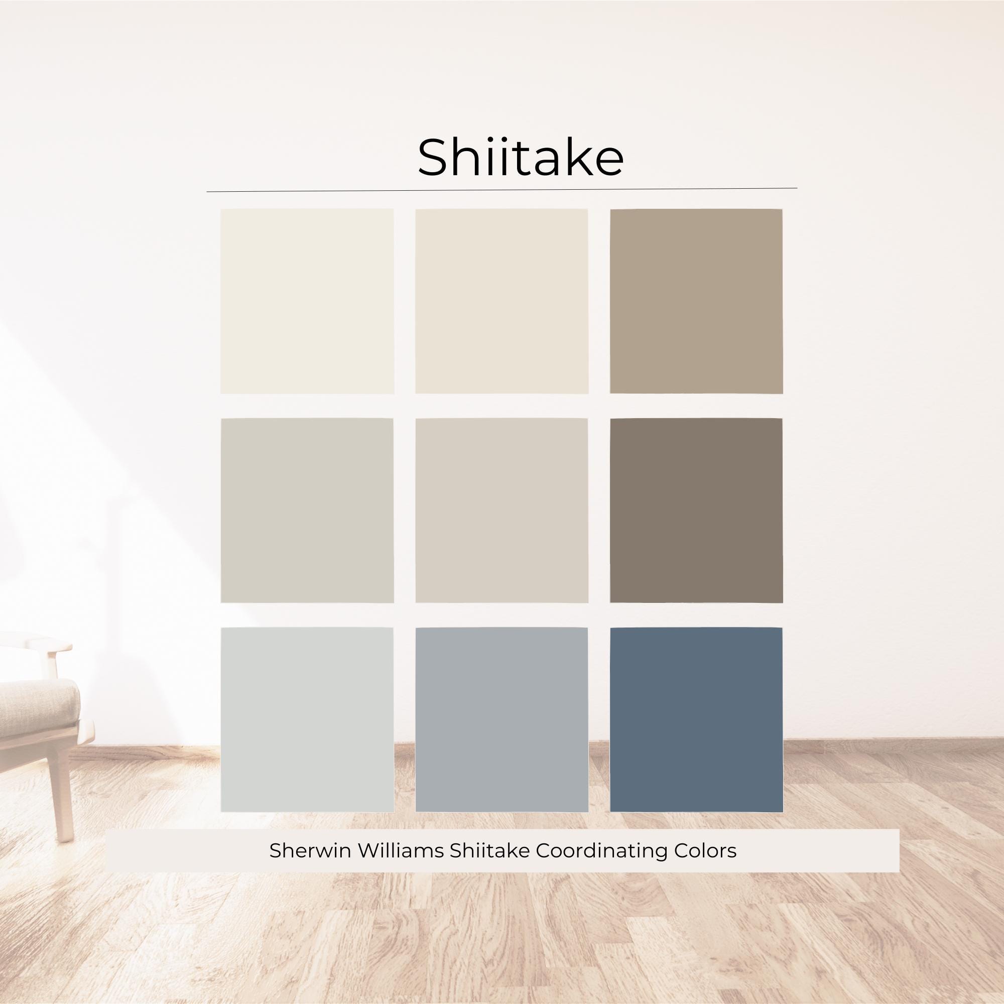 Shiitake Sherwin Williams Paint Palette, Greige Sherwin Williams Blue ...