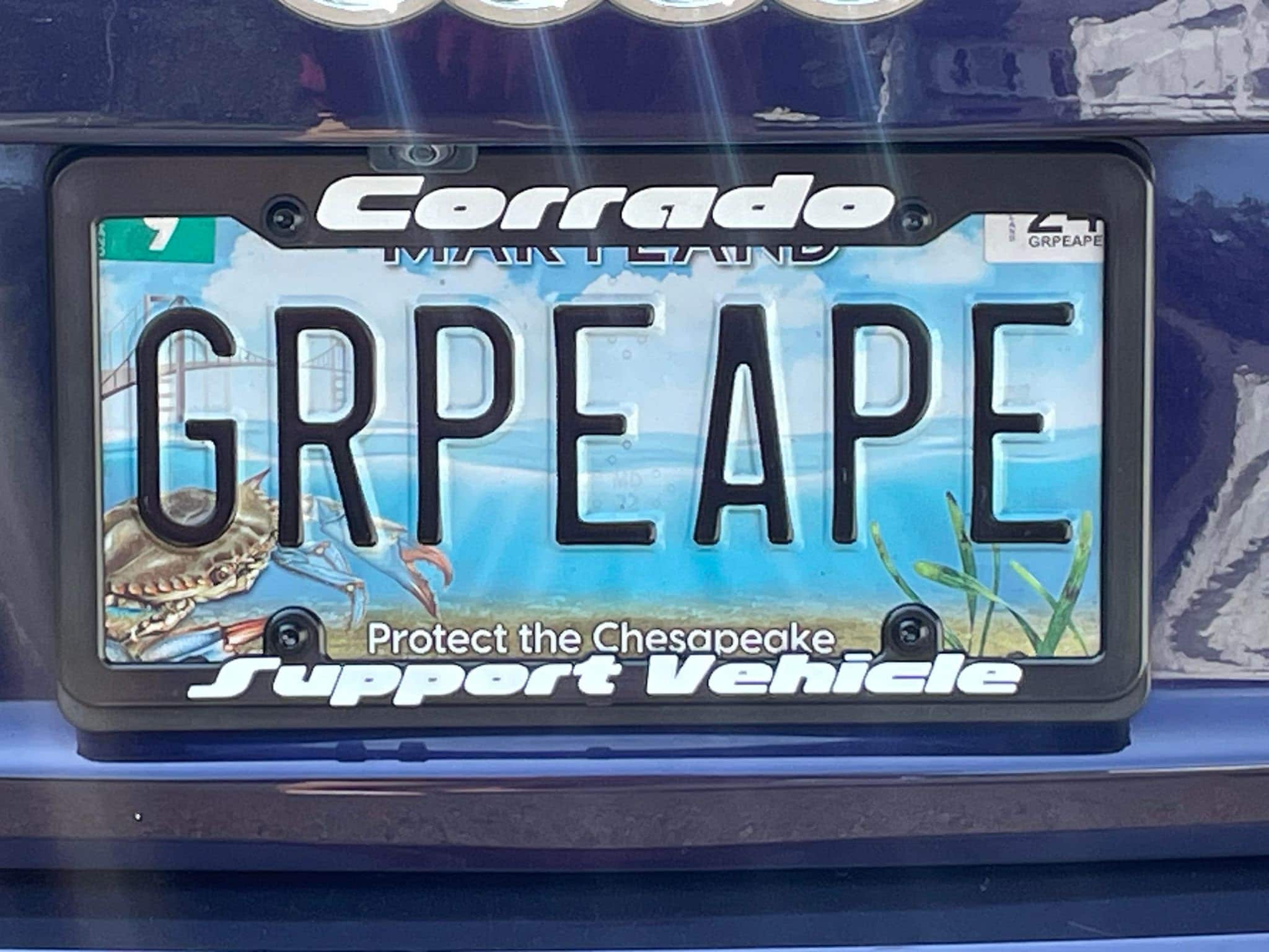 Corrado Support Vehicle License Plate Frame Volkswagen/vw/g60/vr6/slc ...