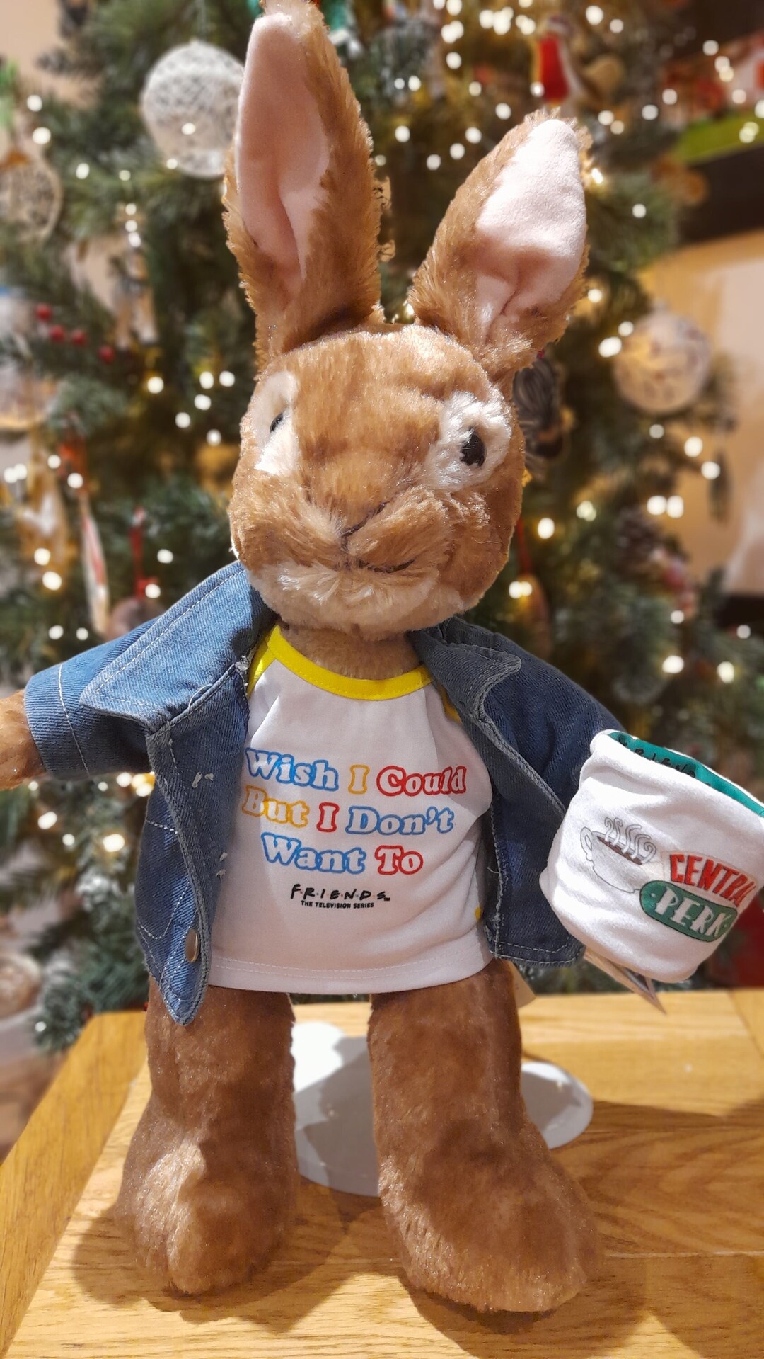 Friends Themed Peter Rabbit Build a Bear - Etsy