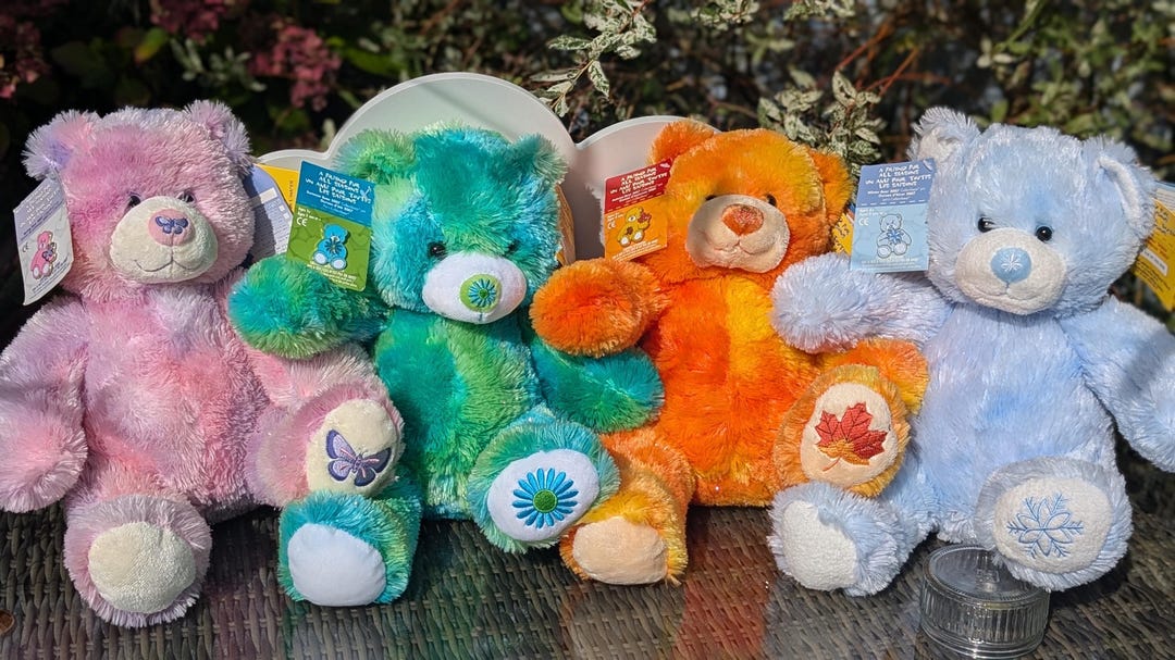 Build A Bear Friend Fur All Seasons Extremely Rare 2007 Limited Edition ...