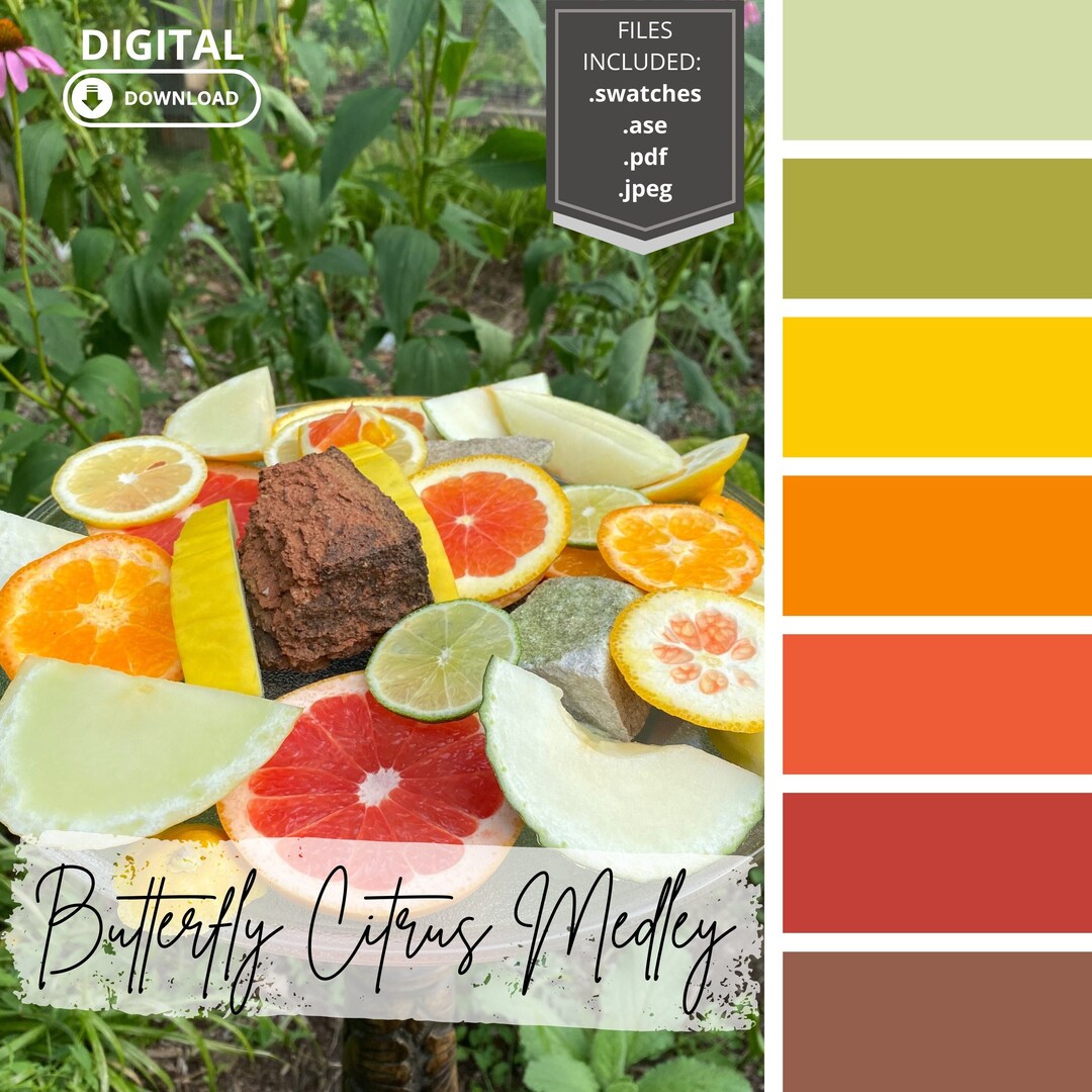 Butterfly Citrus Medley Colour Palette - Vibrant Hues Inspired by ...