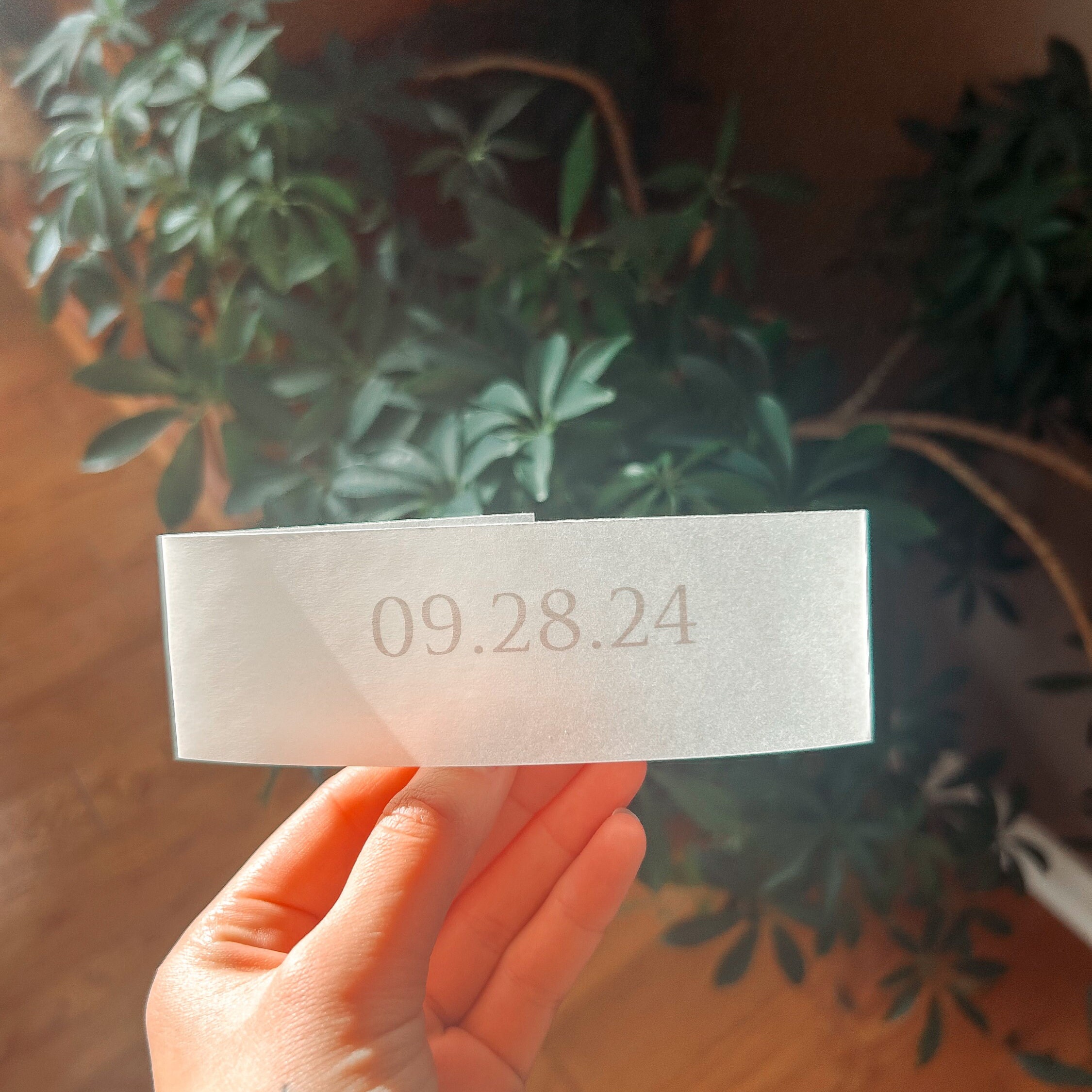 DIY Belly Bands Design Printing Template - Etsy