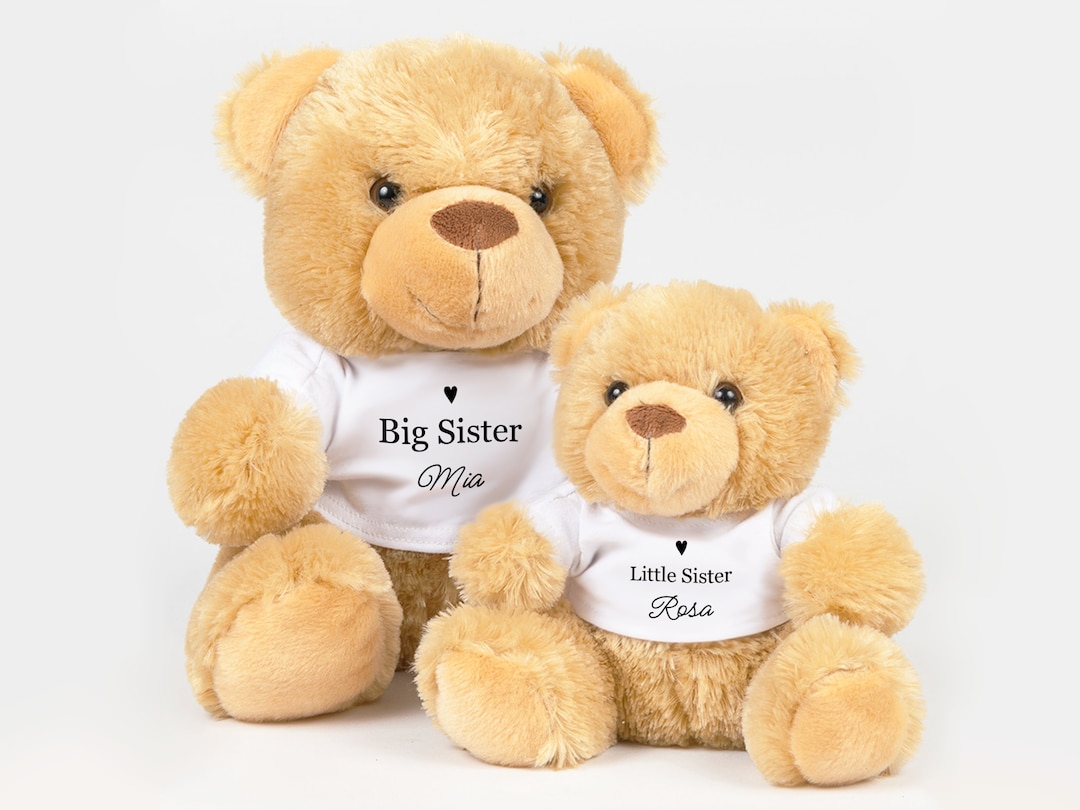 Personalised Custom Big Sister Teddy Bear Little Sister - Etsy