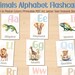 Animal Alphabet Flash Cards, Preschool Activity, Printable Montessori ...