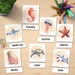 Sea Animals Flash Cards, Preschool Activity, Printable Montessori Cards ...