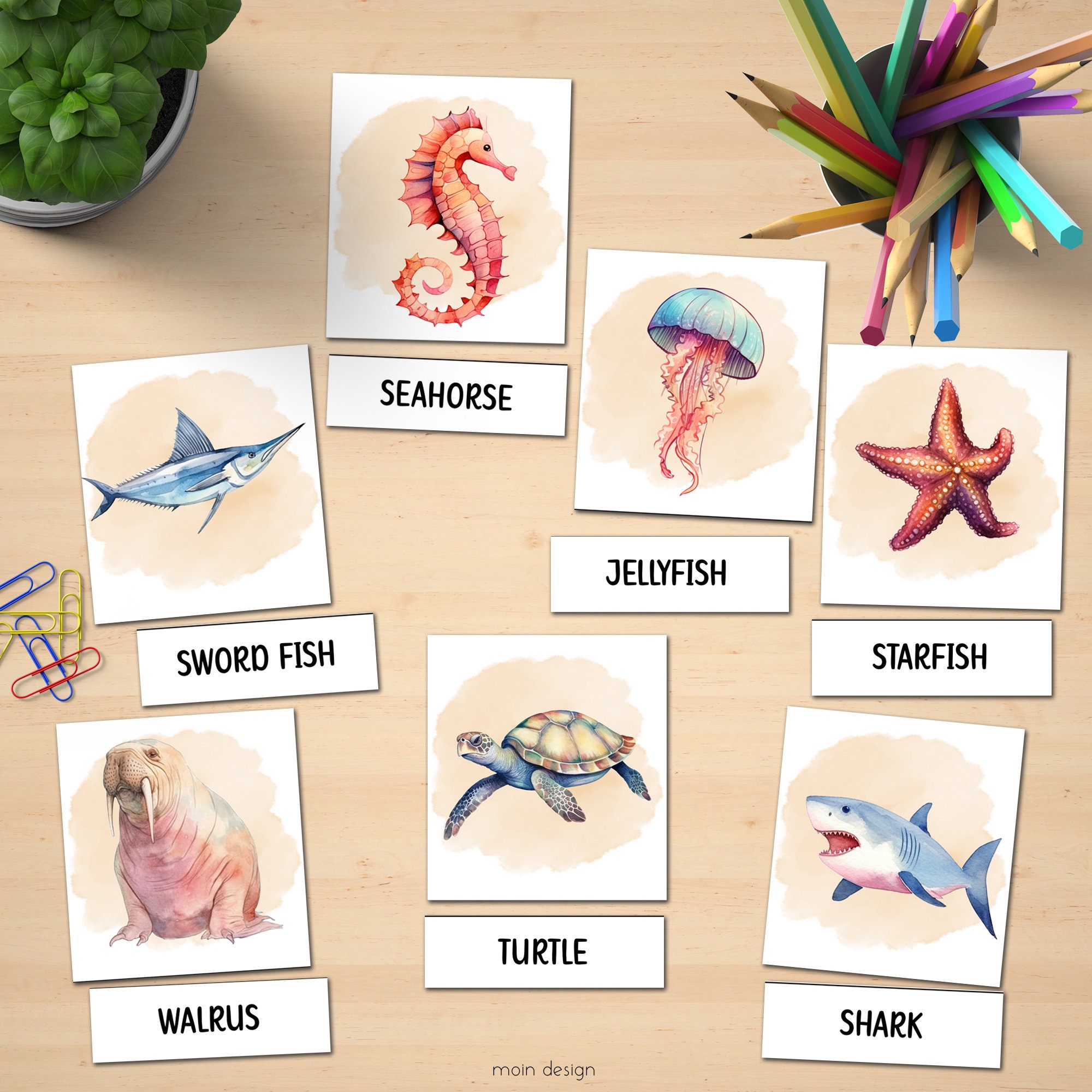 Sea Animals Flash Cards, Preschool Activity, Printable Montessori Cards ...