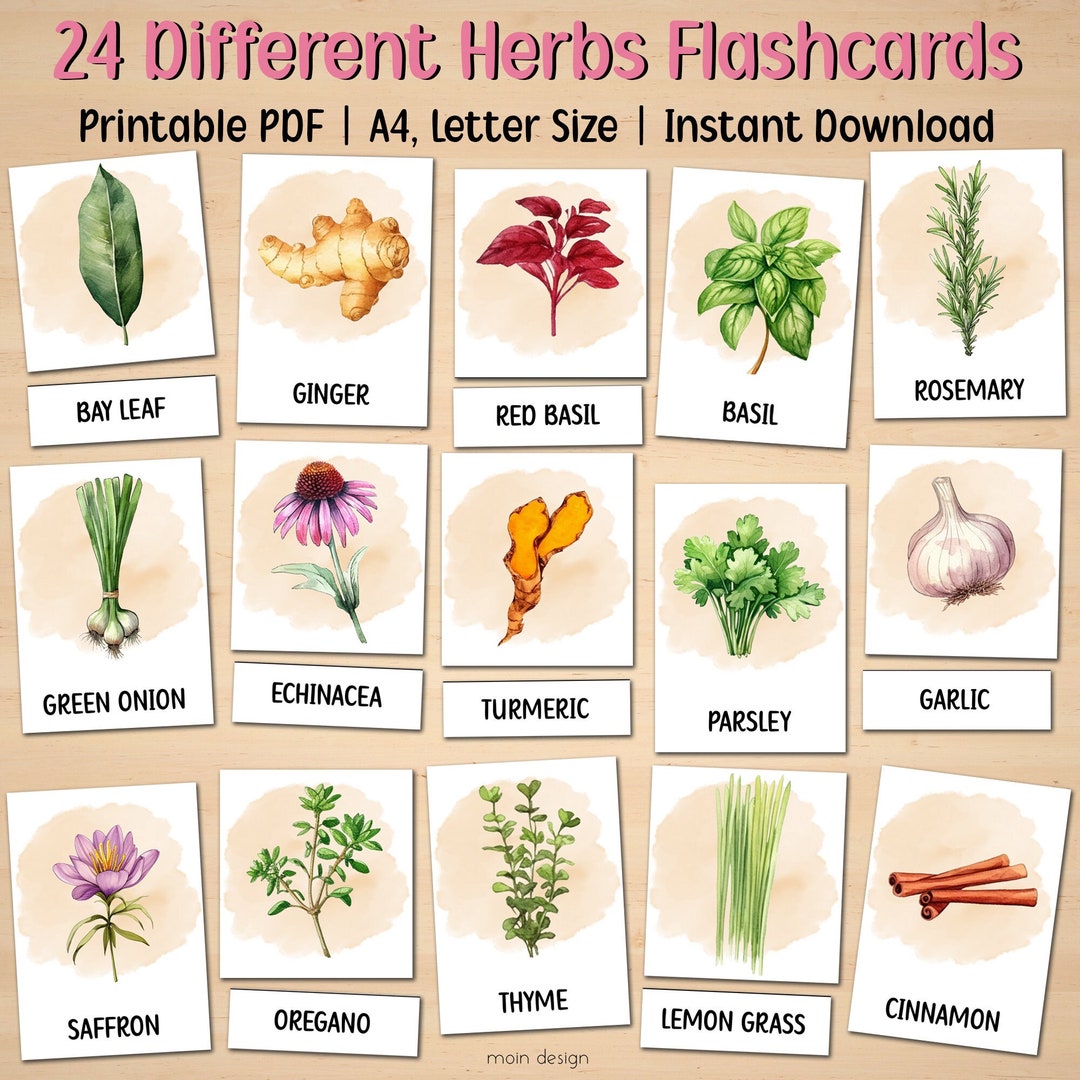 Kitchen Herbs Flash Cards, Preschool Activity, Printable Montessori ...