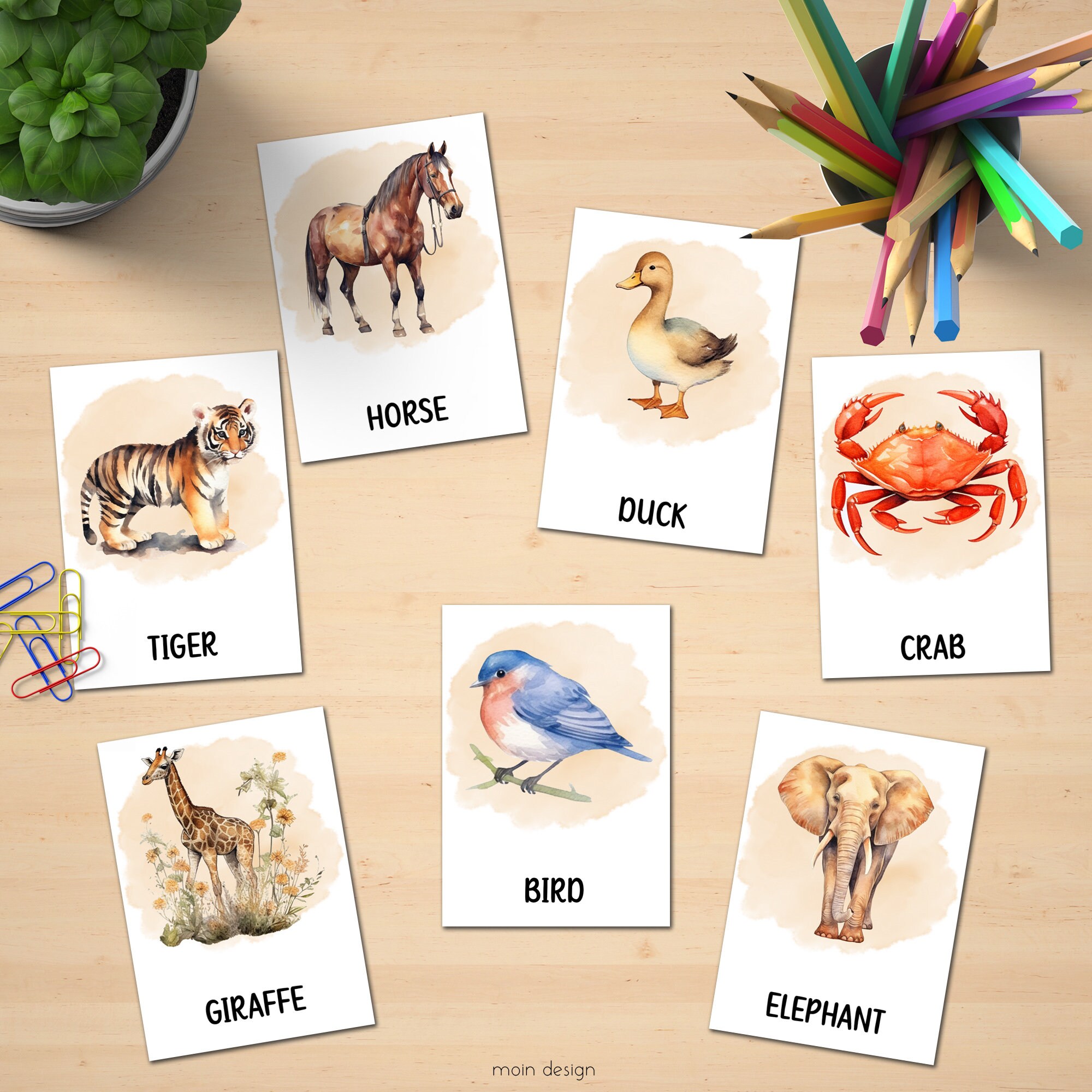 Animals Flash Cards, Preschool Activity, Printable Montessori Cards ...