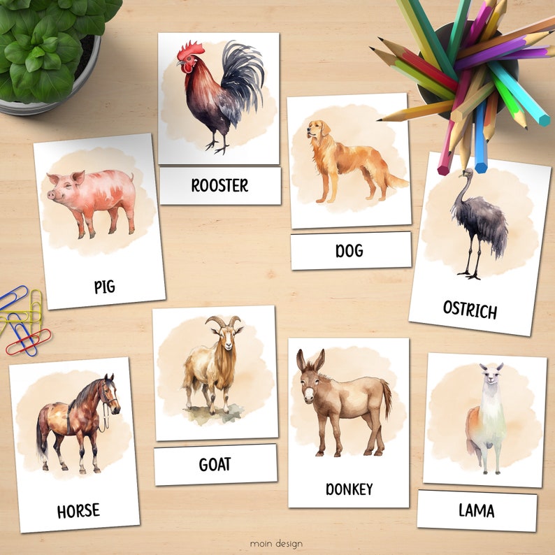 Farm Animals Flash Cards, Preschool Activity, Printable Montessori ...
