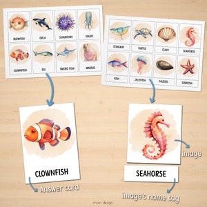 Sea Animals Flash Cards, Preschool Activity, Printable Montessori Cards ...
