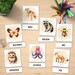 Animals Flash Cards, Preschool Activity, Printable Montessori Cards ...