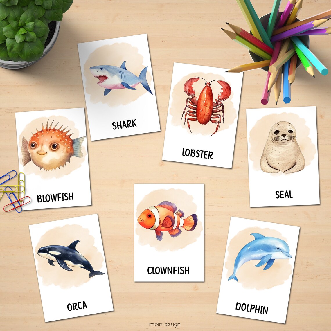 Sea Animals Flash Cards, Preschool Activity, Printable Montessori Cards ...