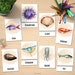 Sea Animals Flash Cards, Preschool Activity, Printable Montessori Cards ...