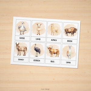 Farm Animals Flash Cards, Preschool Activity, Printable Montessori ...