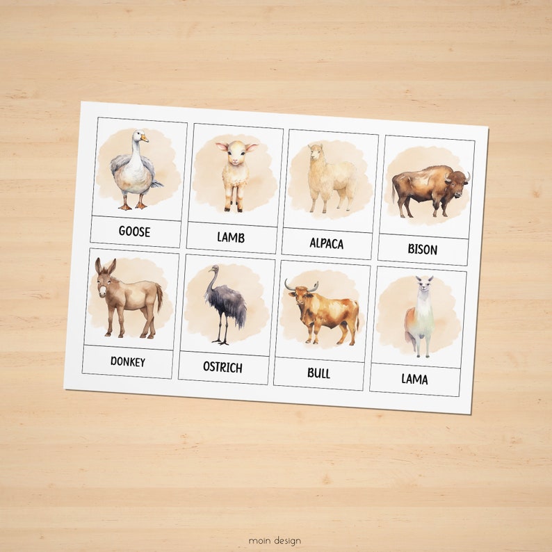 Farm Animals Flash Cards, Preschool Activity, Printable Montessori ...