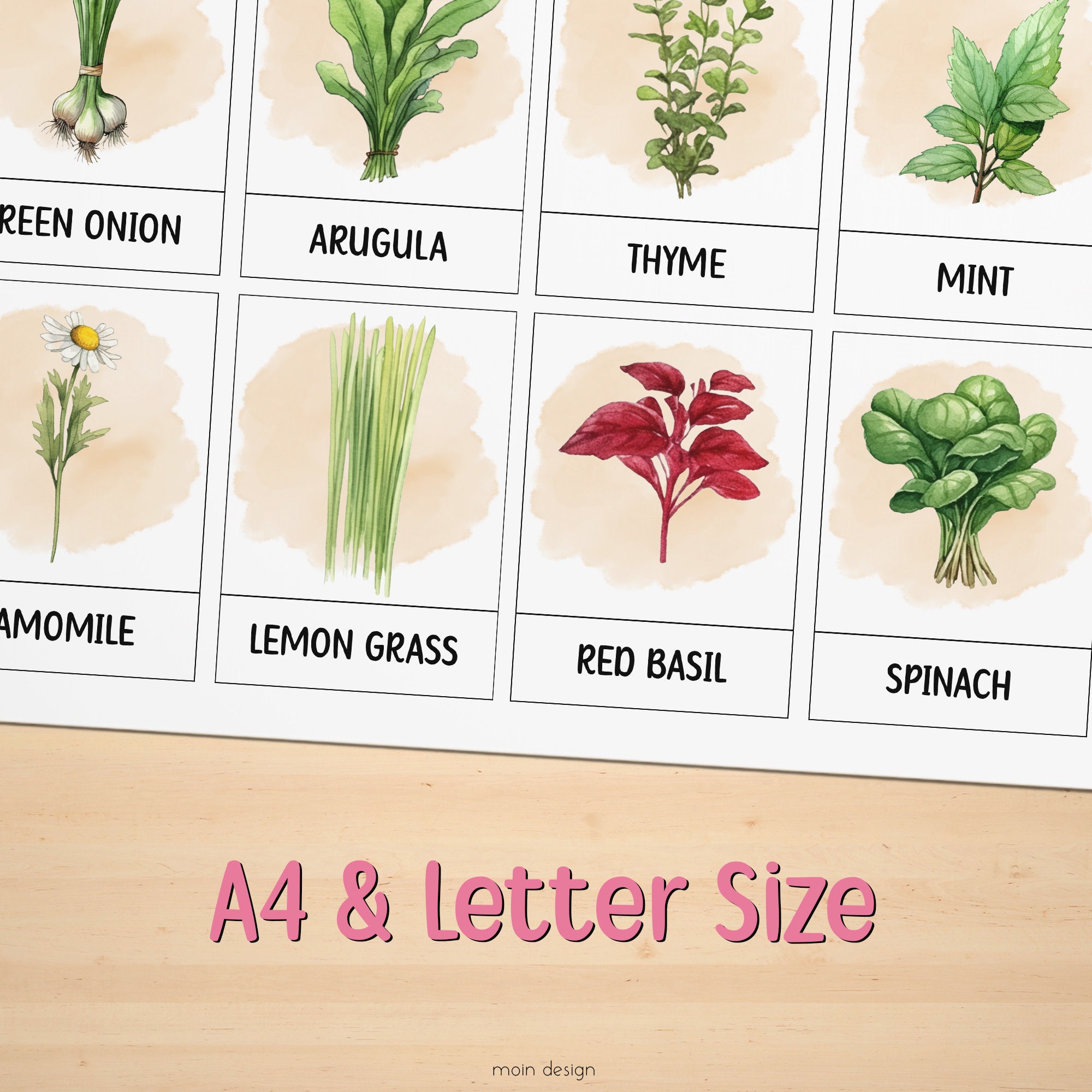 Kitchen Herbs Flash Cards, Preschool Activity, Printable Montessori ...