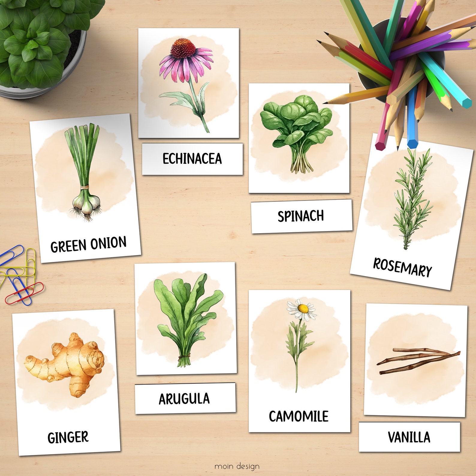 Kitchen Herbs Flash Cards, Preschool Activity, Printable Montessori ...