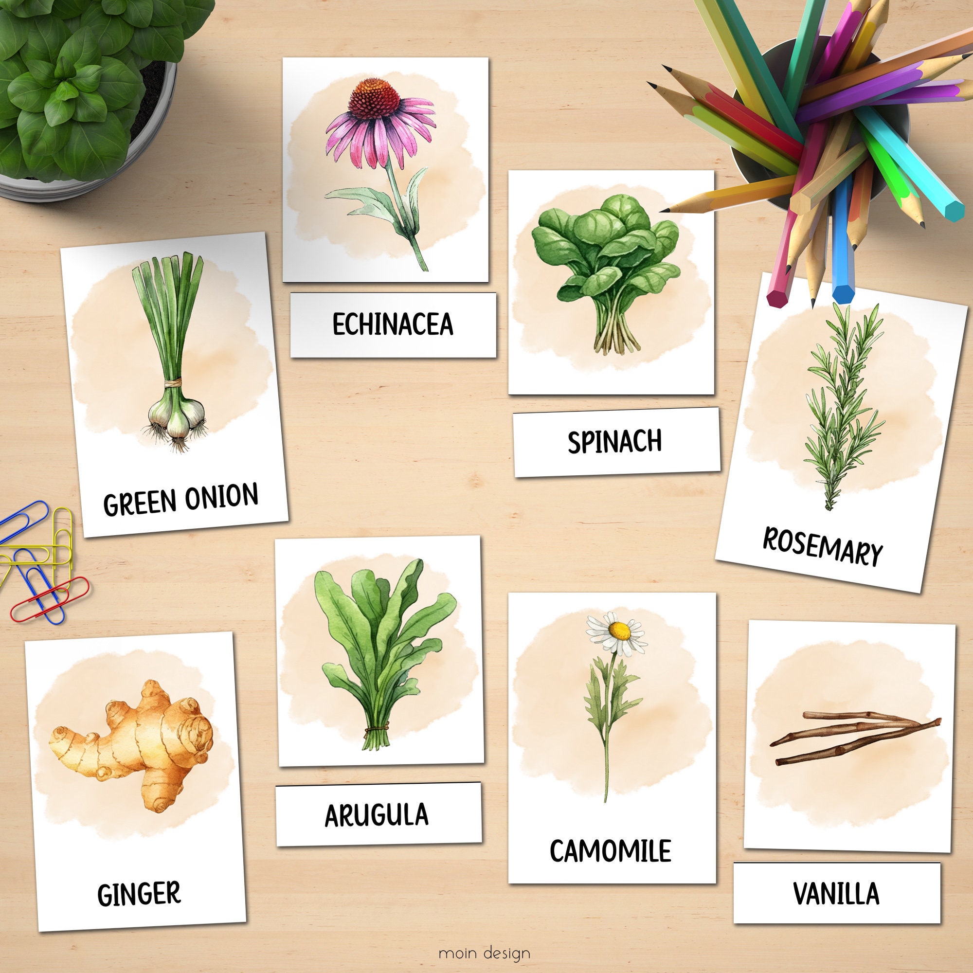 Kitchen Herbs Flash Cards, Preschool Activity, Printable Montessori ...