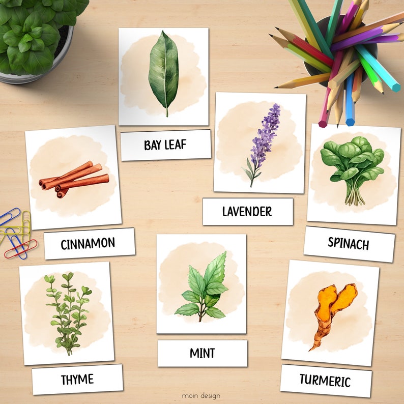 Kitchen Herbs Flash Cards, Preschool Activity, Printable Montessori ...