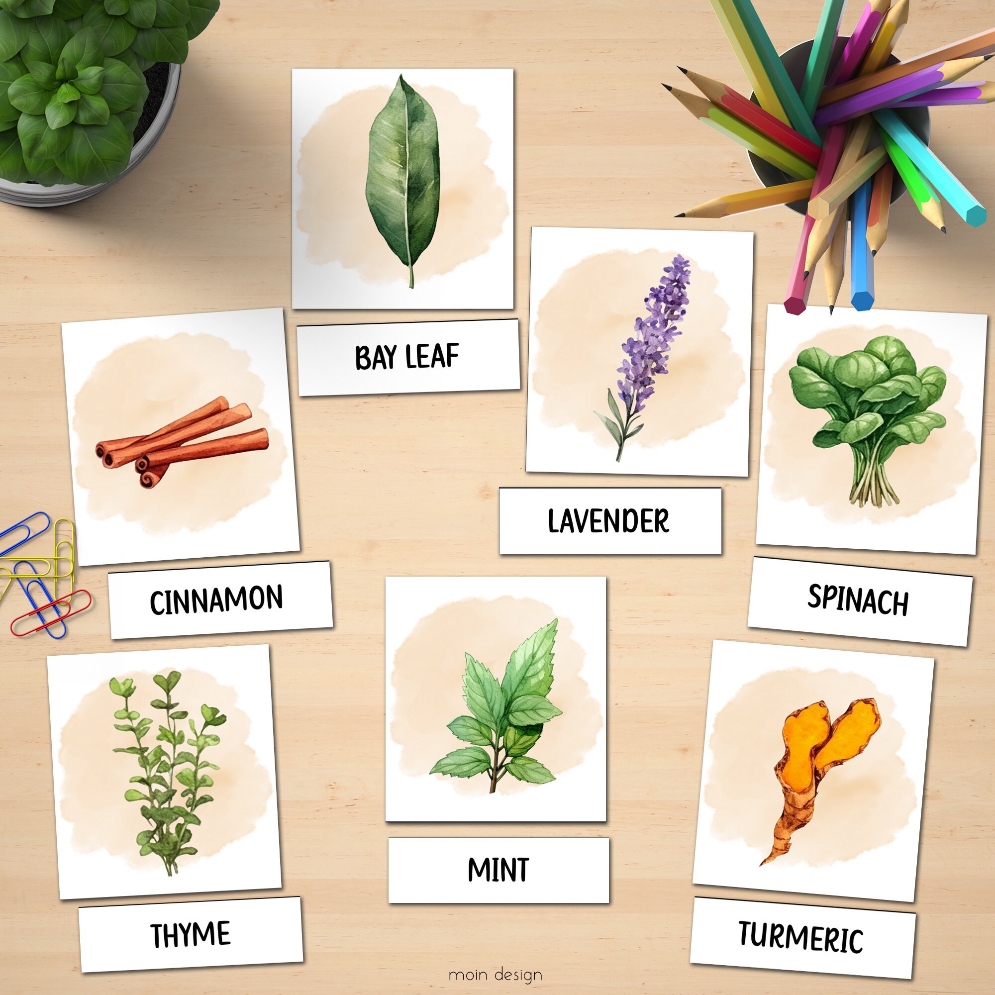 Kitchen Herbs Flash Cards, Preschool Activity, Printable Montessori ...