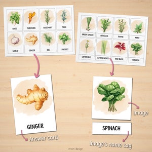 Kitchen Herbs Flash Cards, Preschool Activity, Printable Montessori ...