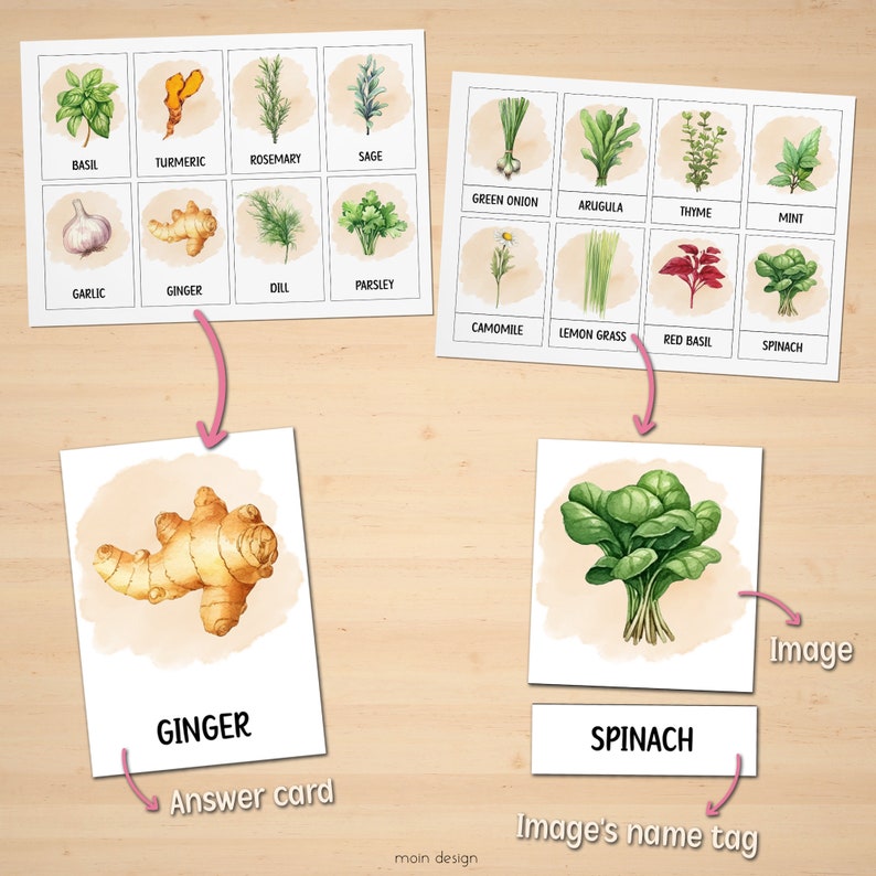 Kitchen Herbs Flash Cards, Preschool Activity, Printable Montessori ...