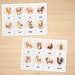 Farm Animals Flash Cards, Preschool Activity, Printable Montessori ...