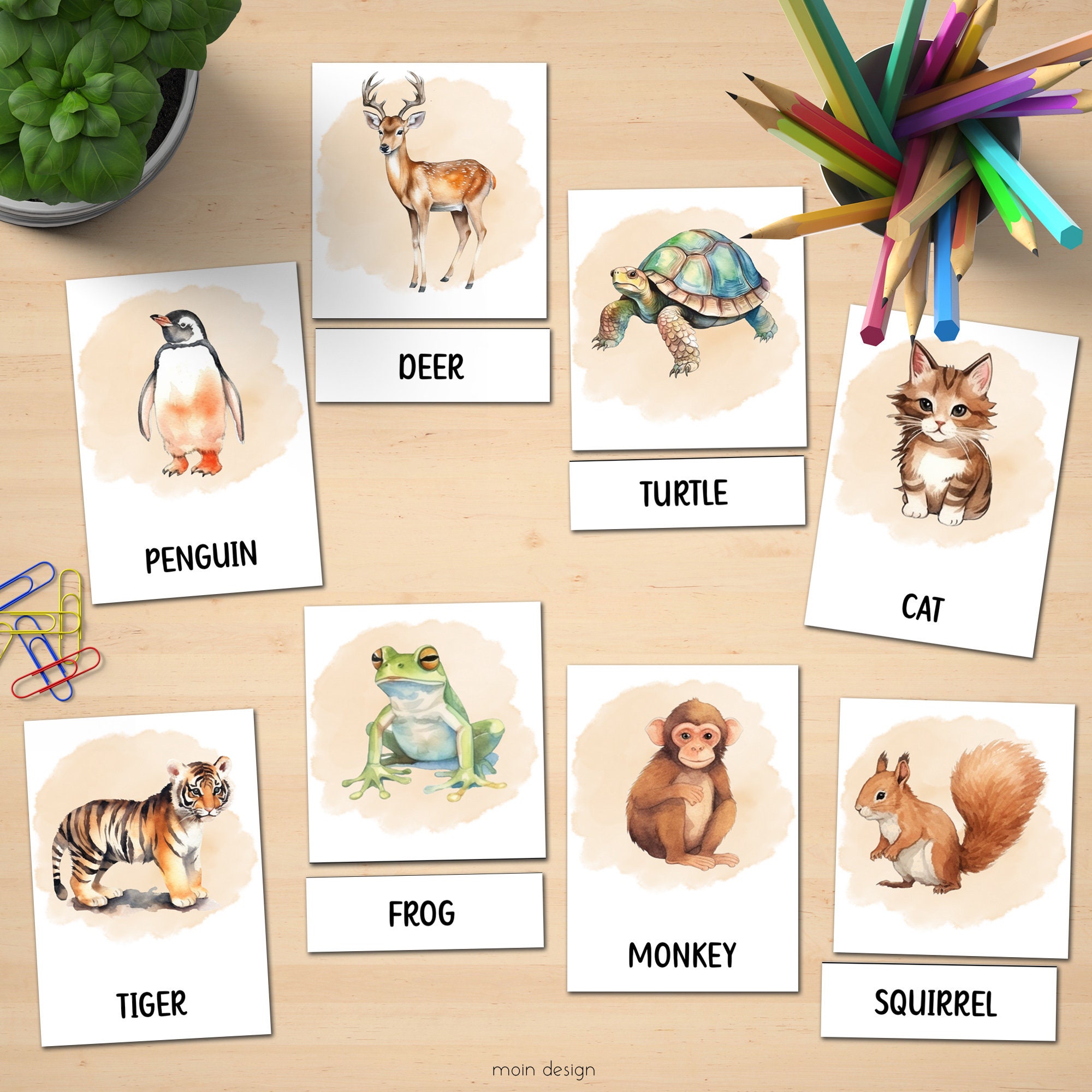 Animals Flash Cards, Preschool Activity, Printable Montessori Cards ...