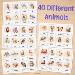 Animals Flash Cards, Preschool Activity, Printable Montessori Cards ...