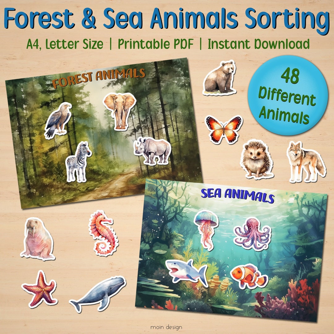 Forest and Sea Animals Sorting Activity, Printable Activities, Toddler ...