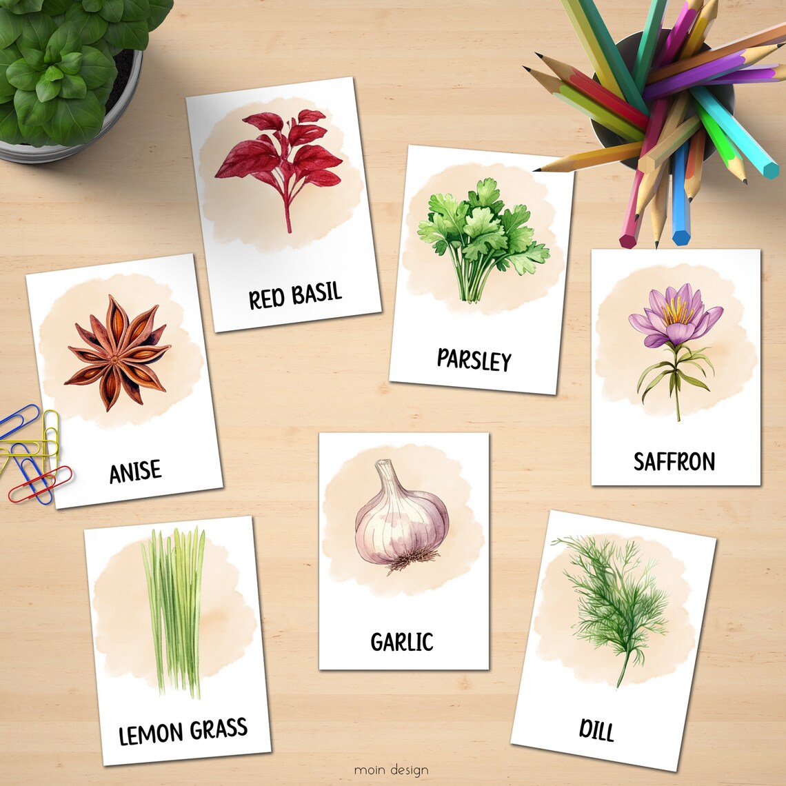 Kitchen Herbs Flash Cards, Preschool Activity, Printable Montessori ...