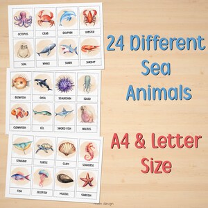 Sea Animals Flash Cards, Preschool Activity, Printable Montessori Cards ...