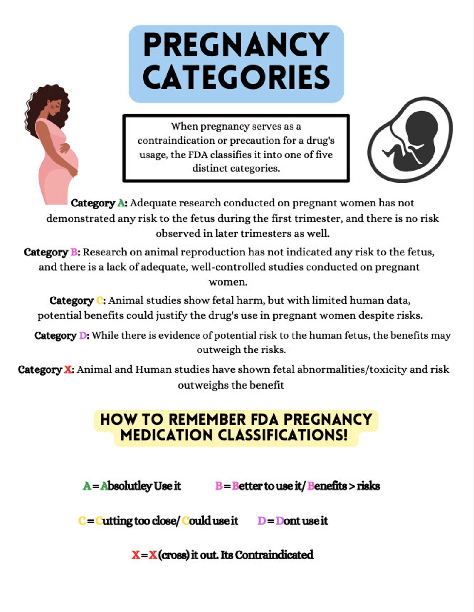 PTCB Exam Study Guide DIGITAL - Etsy
