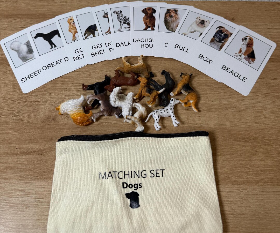 Montessori Dog Breed Matching Game: Realistic Figures & Cards - Etsy