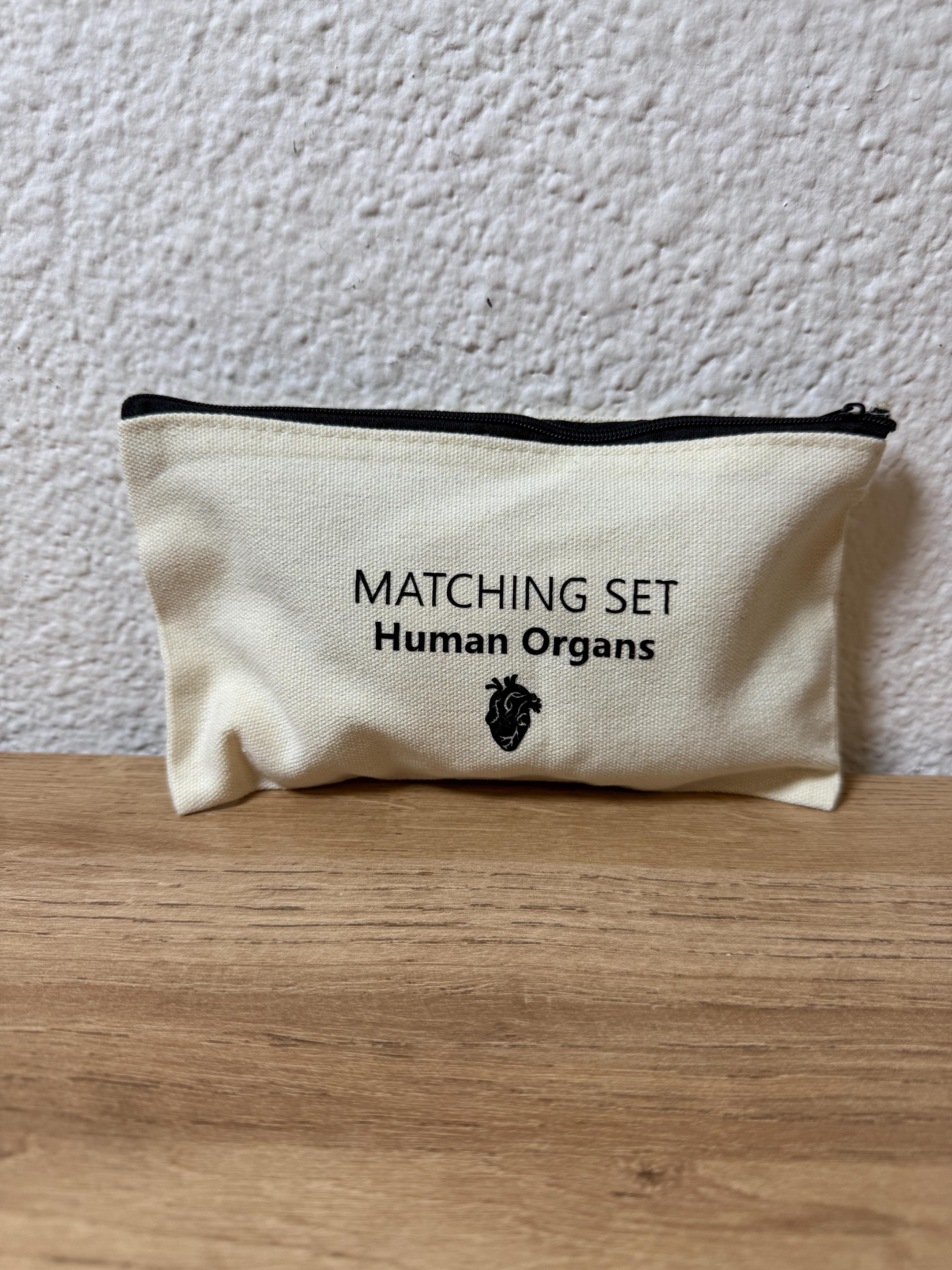 Montessori Human Organs Matching Game: Realistic Figures, Anatomy ...