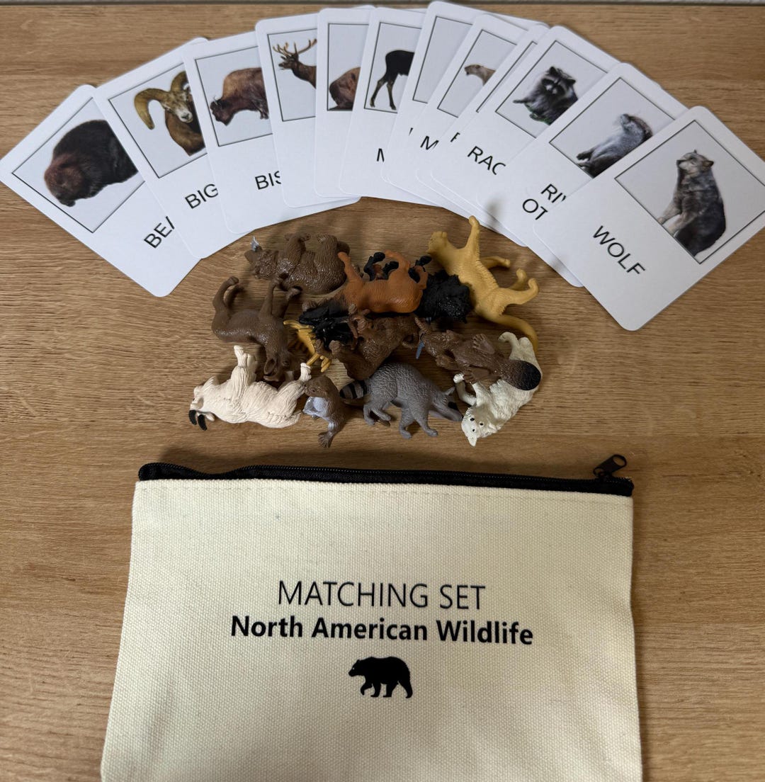 Montessori Matching Set - North American Wildlife I Learning and ...