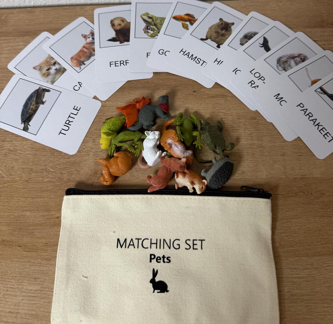 Montessori Matching Set - Pets I Learning and Education Toy for Kids I ...
