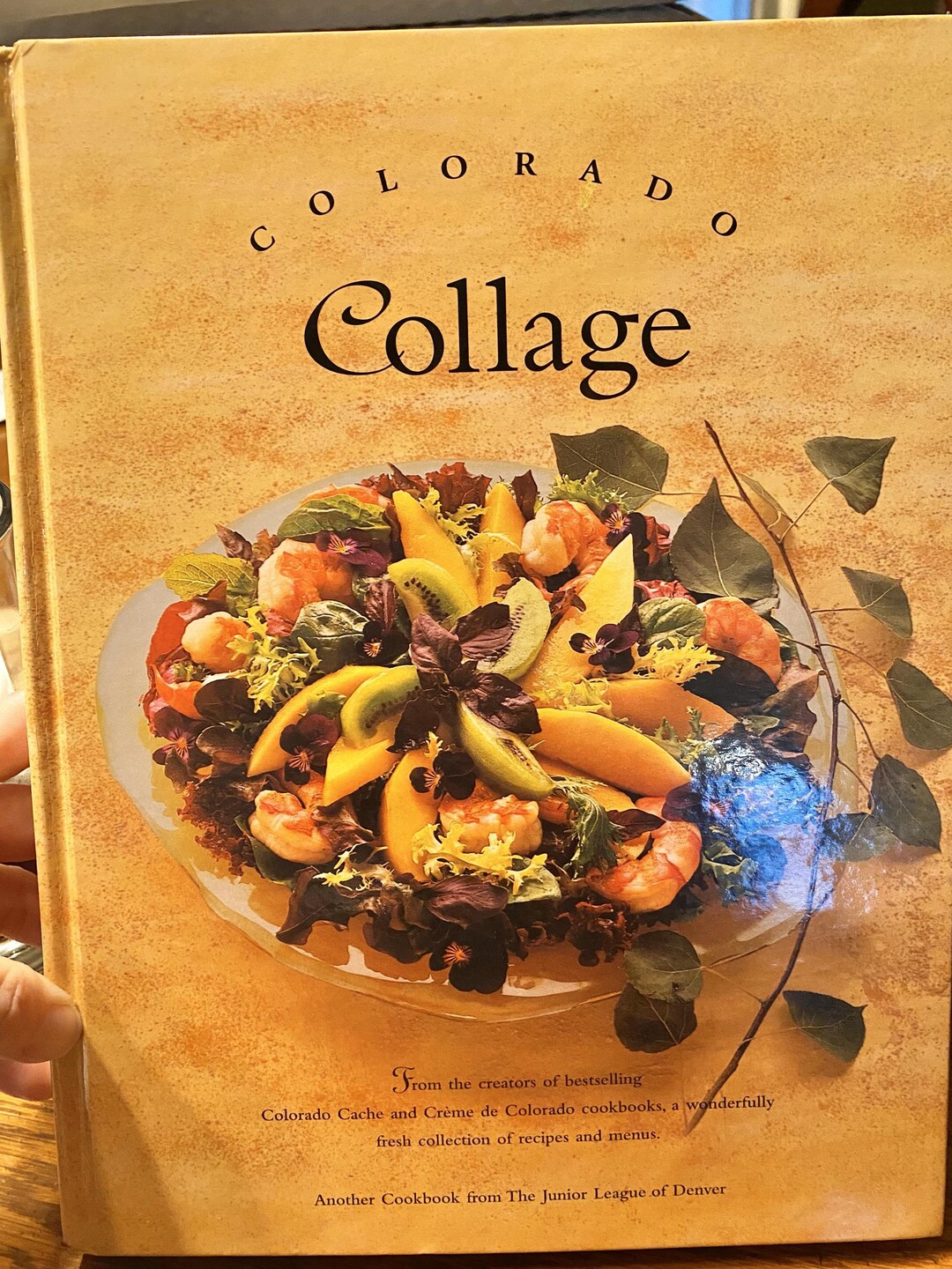 1995 Colorado Collage Cookbook - Etsy