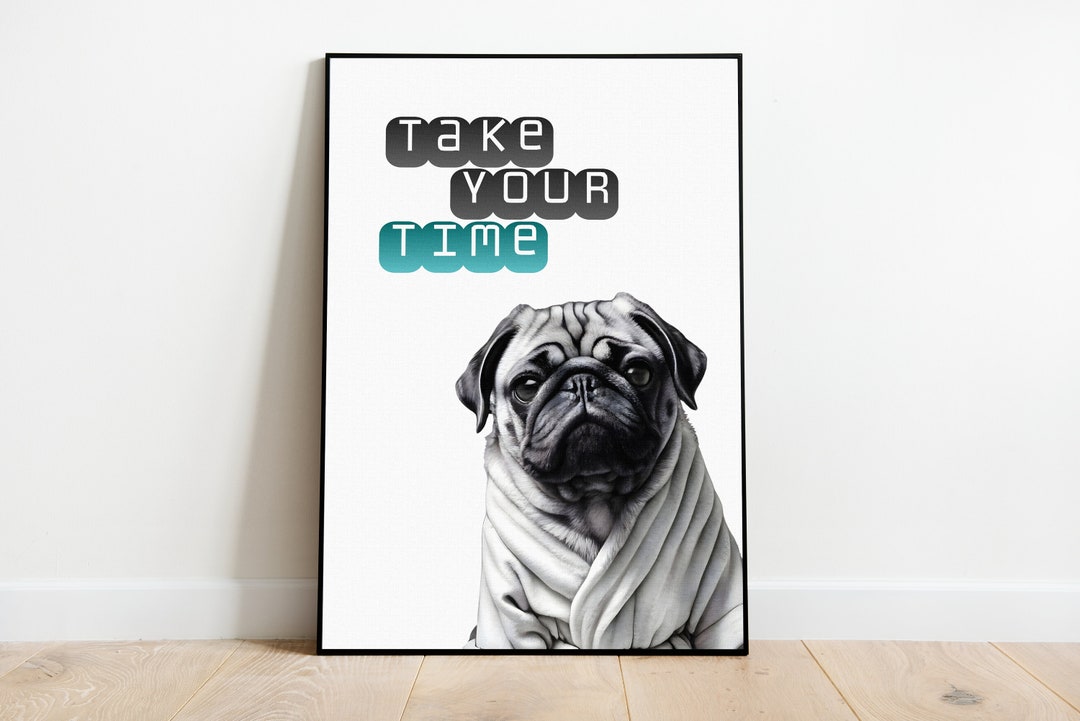 Pug Picture, Take Your Time Saying, Dog in a Bathrobe, Black White and ...