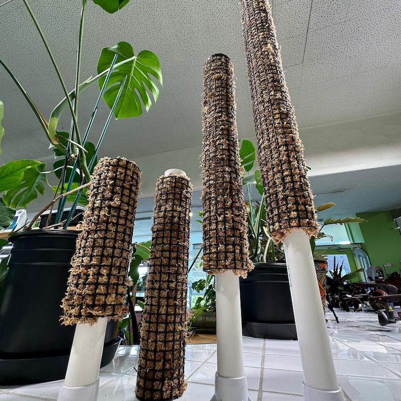 Moss Poles - Etsy