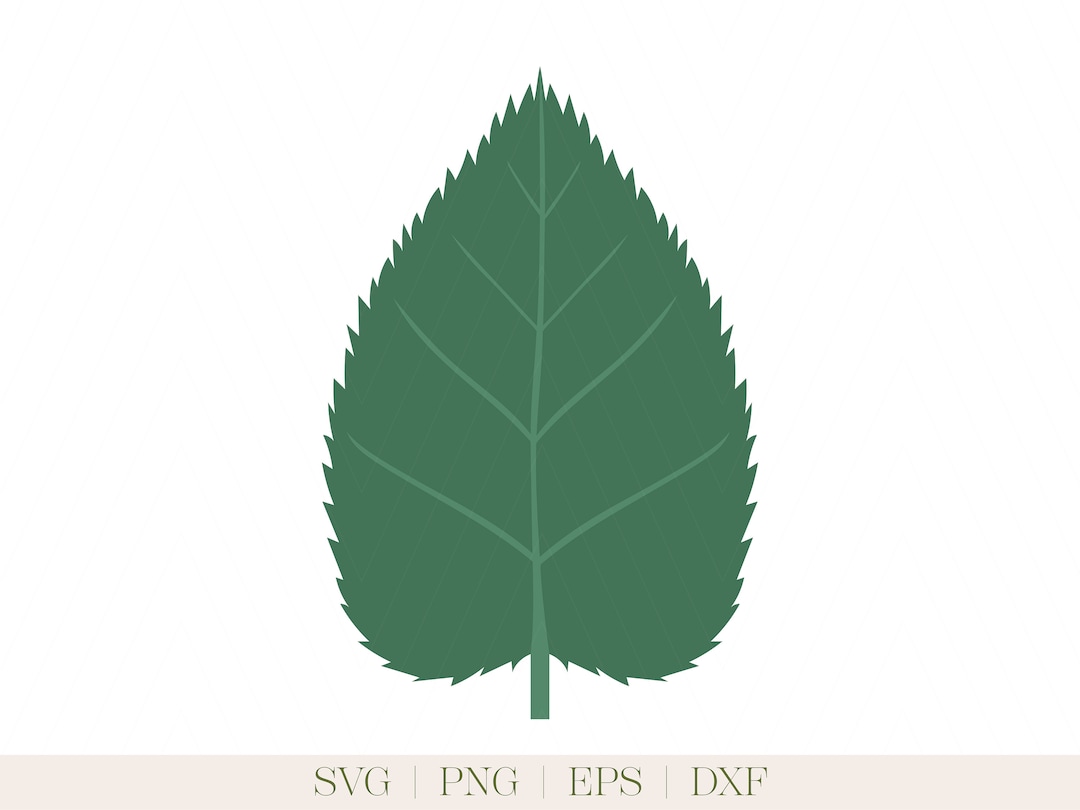 Sunflower Leaf SVG Png Dxf Eps, Cut File, Clip Art Design Assets ...